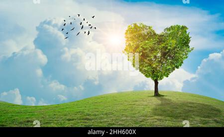 Heart Tree Love For Nature Landscape Stock Photo - Alamy