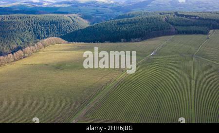 Aerial view of upland Banc farm in The Brechfa Forest being prepared ...