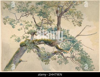 John Ruskin, Tree Study Tree Study Stock Photo - Alamy