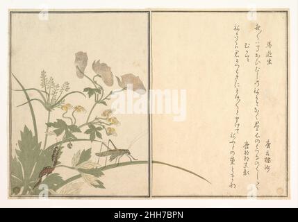 Katydid (Umaoi-mushi); Centipede, (Mukade), from the Picture Book of ...