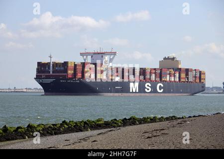The container ship MSC Apolline leaves the port of Rotterdam on August ...