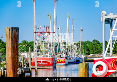 Shrimp boats are pictured, April 27, 2021, in Bayou La Batre, Alabama ...