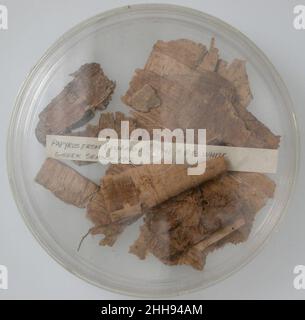 Papyri Fragments 7th century Coptic. Papyri Fragments 479285 Stock Photo - Alamy