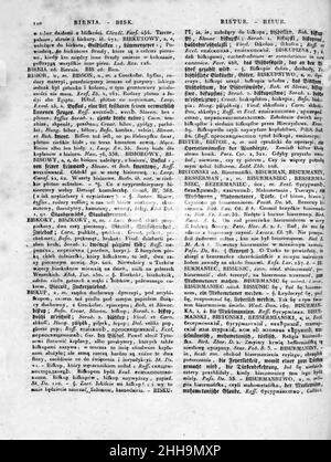 Slownik jezyka polskiego tom 1 110 Stock Photo - Alamy