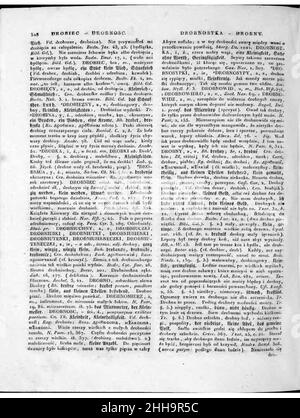 Slownik jezyka polskiego tom 1 528 Stock Photo - Alamy