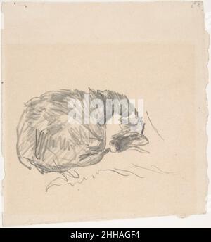 A Cat Curled Up, Sleeping 1861 by Edouard Manet Stock Photo - Alamy