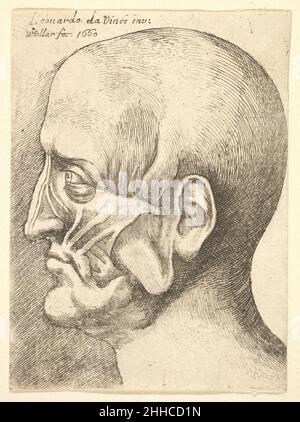 Anatomical drawing, Profile of head and skull, Spinal column, Muscular ...