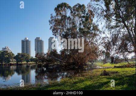winter lake Park in Netanya in Israel Stock Photo - Alamy