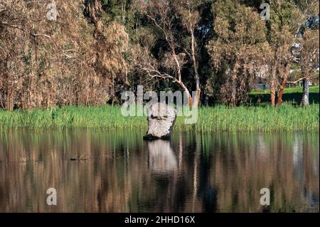 winter lake Park in Netanya in Israel Stock Photo - Alamy