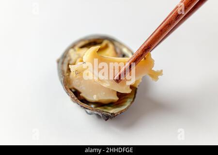 Abalone succulent on white background Stock Photo - Alamy