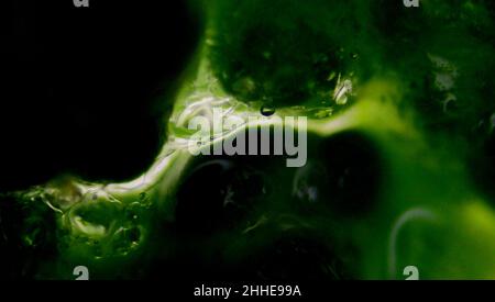 Broccoli under the microscope Stock Photo - Alamy