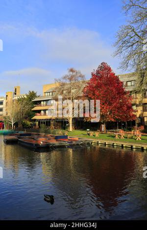 The Graduate Hotel Cambridge, river Cam, Cambridge City, Cambridgeshire ...