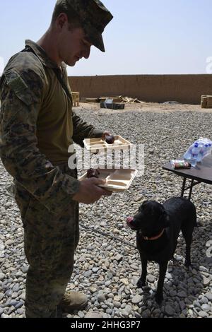 Steak Team Mission grills Afghanistan 120502 Stock Photo - Alamy