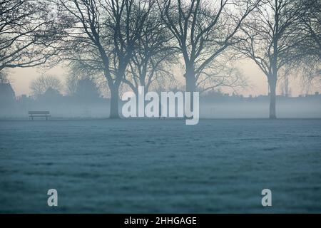 A pedestrian is seen walking through the mist in a park in Ilford, East ...