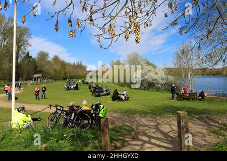Summer view over the Harrold Odell Country Park Lake, Harrold village ...