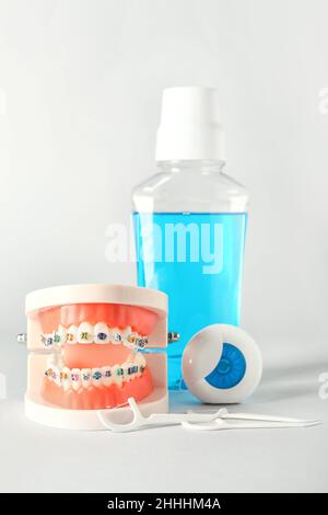 Model of jaw with dental braces, toothpicks, brush and tool on green ...