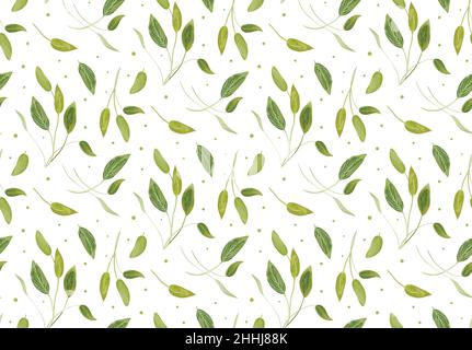 Sage leaves seamless pattern. Hand drawn greens and leaf vegetables ...