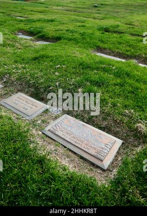 5 January 2022 -Hollywood, California - Dallas Jackson. Premiere Of ...