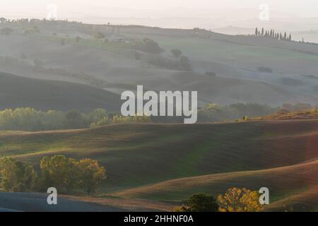 Panorama of Tuscan vineyard covered in fog at the dawn near Castellina ...