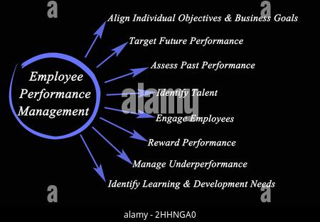 Components of Employee Performance Management Stock Photo - Alamy