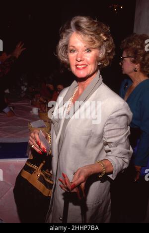Tippi Hedren Circa 1980's Credit: Ralph Dominguez/MediaPunch Stock ...