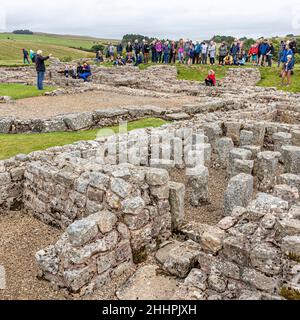 A group having a guided tour of the ruins of Vindolanda Roman auxiliary ...