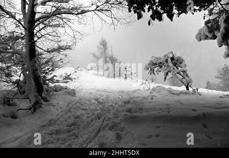 Snow Scenes at Oxshott during the winter of 1940 L104 Stock Photo - Alamy