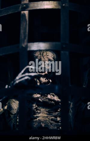 Skeleton in cage, caged skeleton, human skeleton, Halloween, body in ...