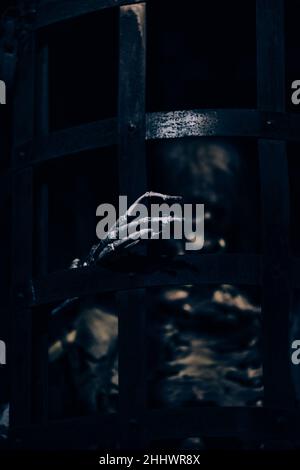 Skeleton in cage, caged skeleton, human skeleton, Halloween, body in ...