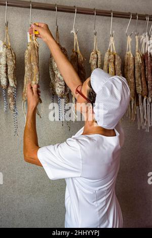 Long pork sausages (longaniza) and cold meat (fuet) in a pork butcher's ...
