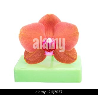 Bar of handmade natural soap and orchid flowers. Spa concept Stock ...