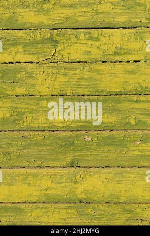 vertical line planks old green wood background texture wooden surface ...