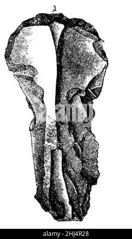 Stone tools (Eskimo) (2 - Flint scraper of the former Porečans Stock ...