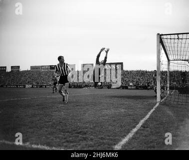 Alf McMichael, Newcastle United Stock Photo - Alamy