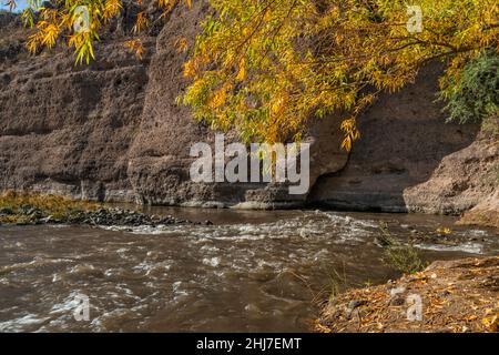 Gila River, Gila Box River Trail, near Serna Cabin and Bonita Creek ...