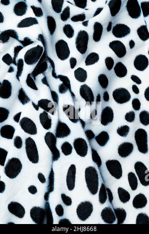 Dalmatian dog fur hair closeup, texture and pattern, showing black spots over white fur Stock ...