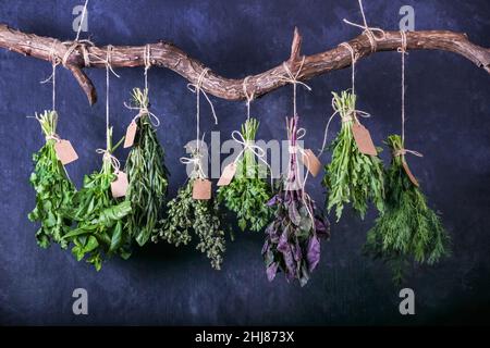 Hanging bunches of edible herbs with blank tags on a curved wooden ...