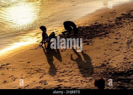 salvador, bahia / brazil - october 30, 2012: judo athlete are seen ...