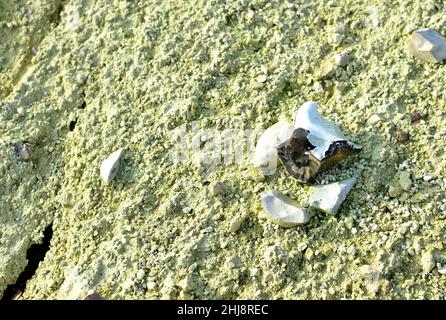 Chalk structure backcround after open pit development. Extraction of ...