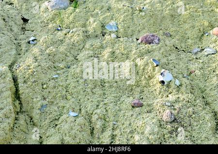 Chalk structure backcround after open pit development. Extraction of ...