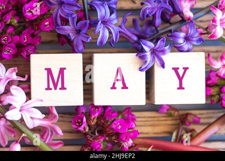 Word MAY alphabet letter on wood blocks with fresh blue spring flowers ...