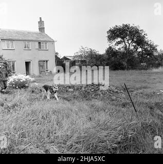 THE GREAT TRAIN ROBBERY, from left: Claire Carleton, Bob Steele ...