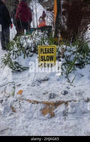 Road Sign Please Slow Down Due To Exmoor Ponies, Exmoor National Park ...