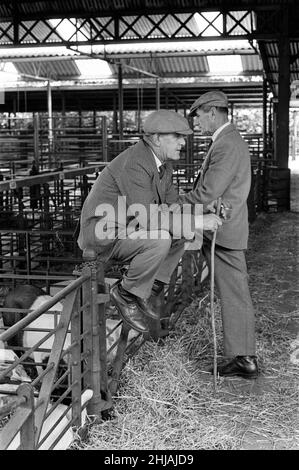 Livestock market held in Diss, Norfolk. 27th July 1963 Stock Photo - Alamy