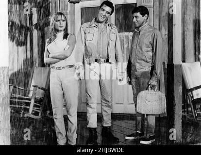 Tickle Me Year: 1965 USA Director: Norman Taurog Elvis Presley Elvis ...