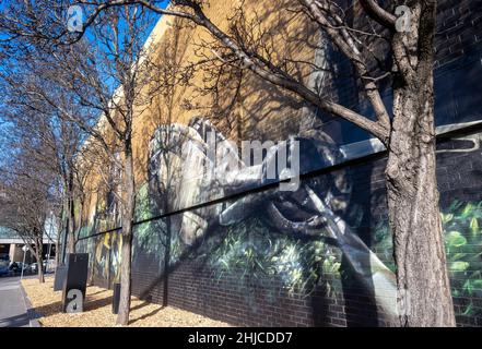 Doncaster January 2022: It maybe the largest singular street art mural ...