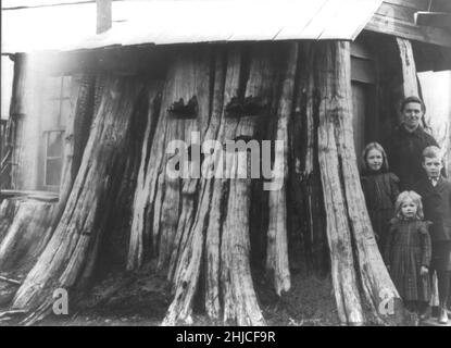 A cedar stump house in Edgecomb, Washington, captured by photographer ...