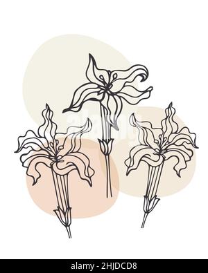 Abstract sketch natural berry template with twigs of ripe grapes and ...