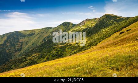 Mountain ridges in the Vratna valley in the national park Mala Fatra ...