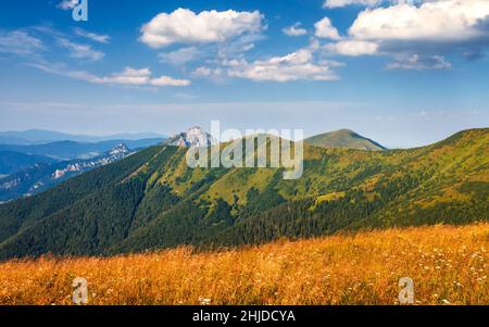Mountain ridges in the Vratna valley in the national park Mala Fatra ...